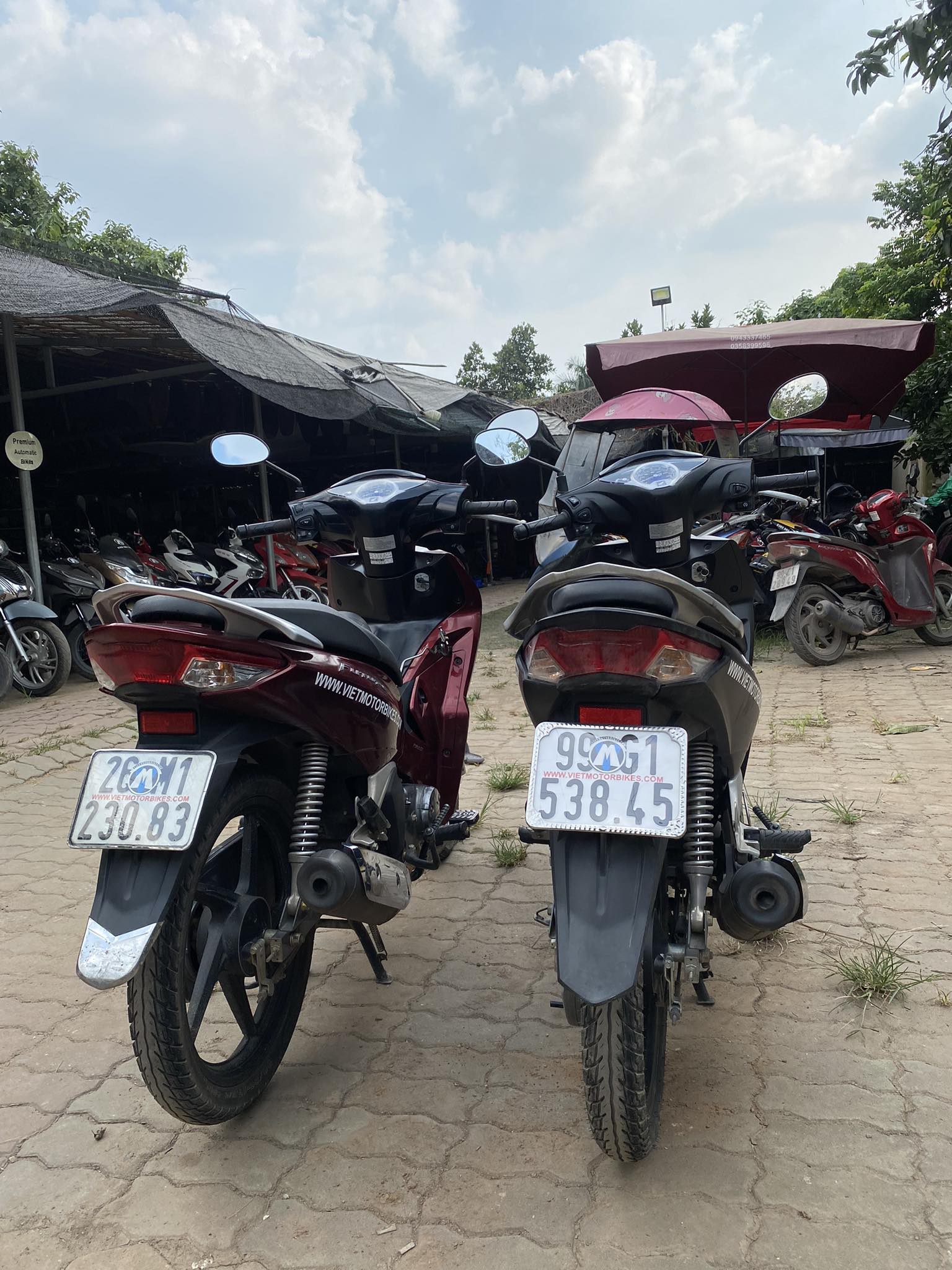 VietMotorbikes | HONDA FUTURE 125CC FUEL INJECTION FOR RENT AND FOR ...