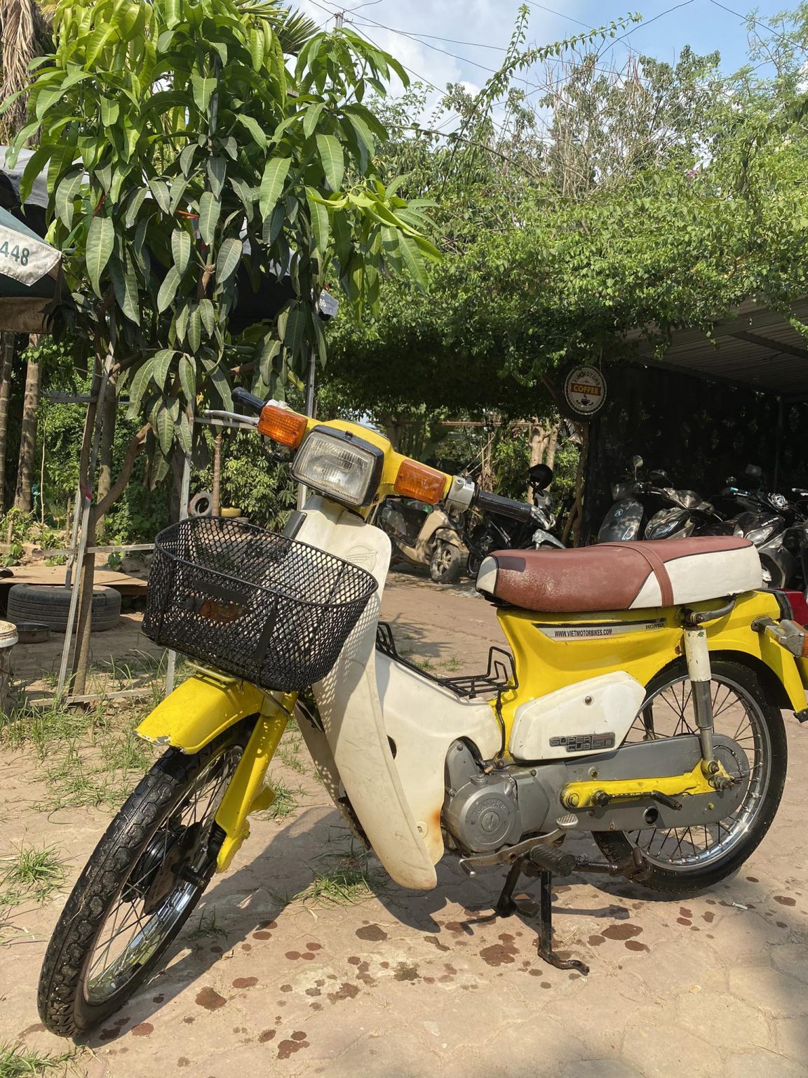 VietMotorbikes | HONDA CUB DD70